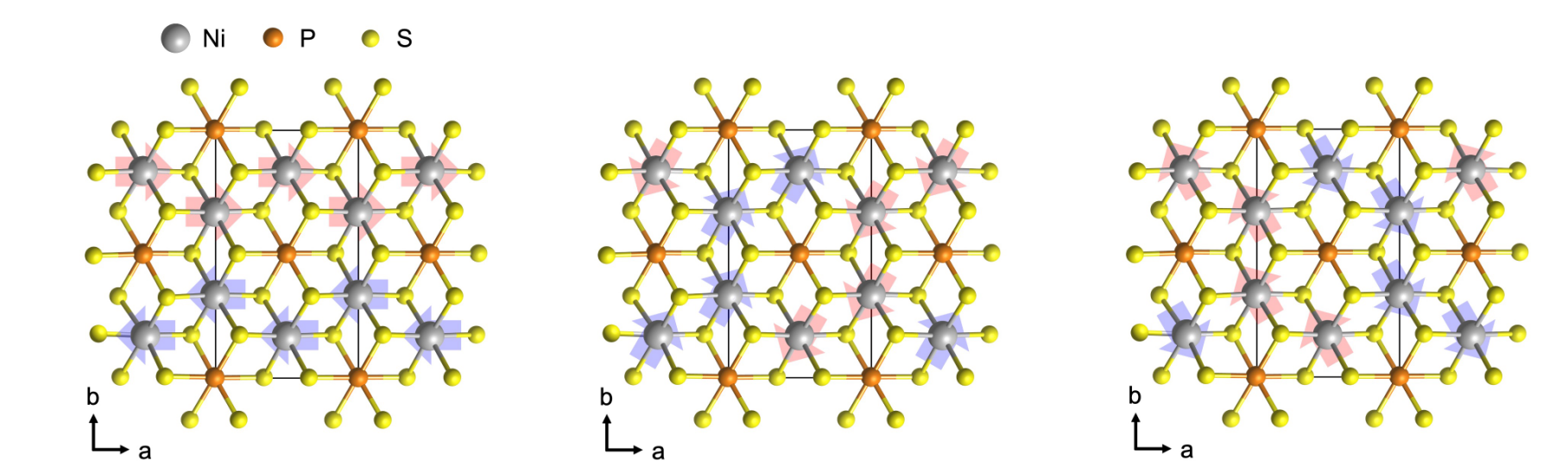 Anisotropic Excitons Reveal Local Spin Chain Directions in a van der ...