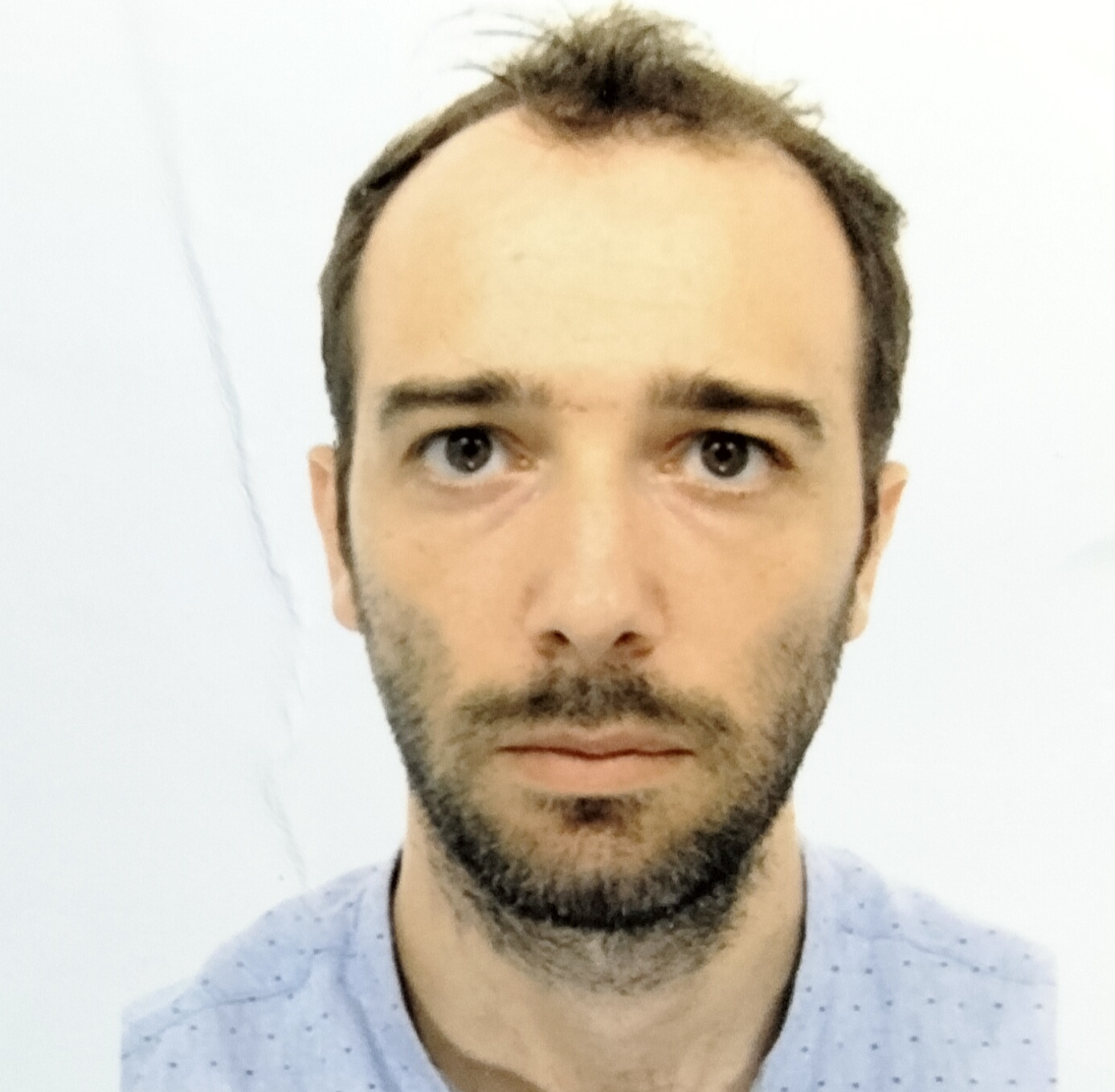 Simoni, Dr. Jacopo – Ping-Group Theoretical and Computational Materials ...